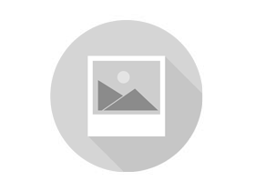 Vigas Casteladas o Alveolares Chihuahua | GrupoLoGo